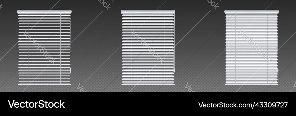 Window venetian blinds jalousie curtains Vector Image
