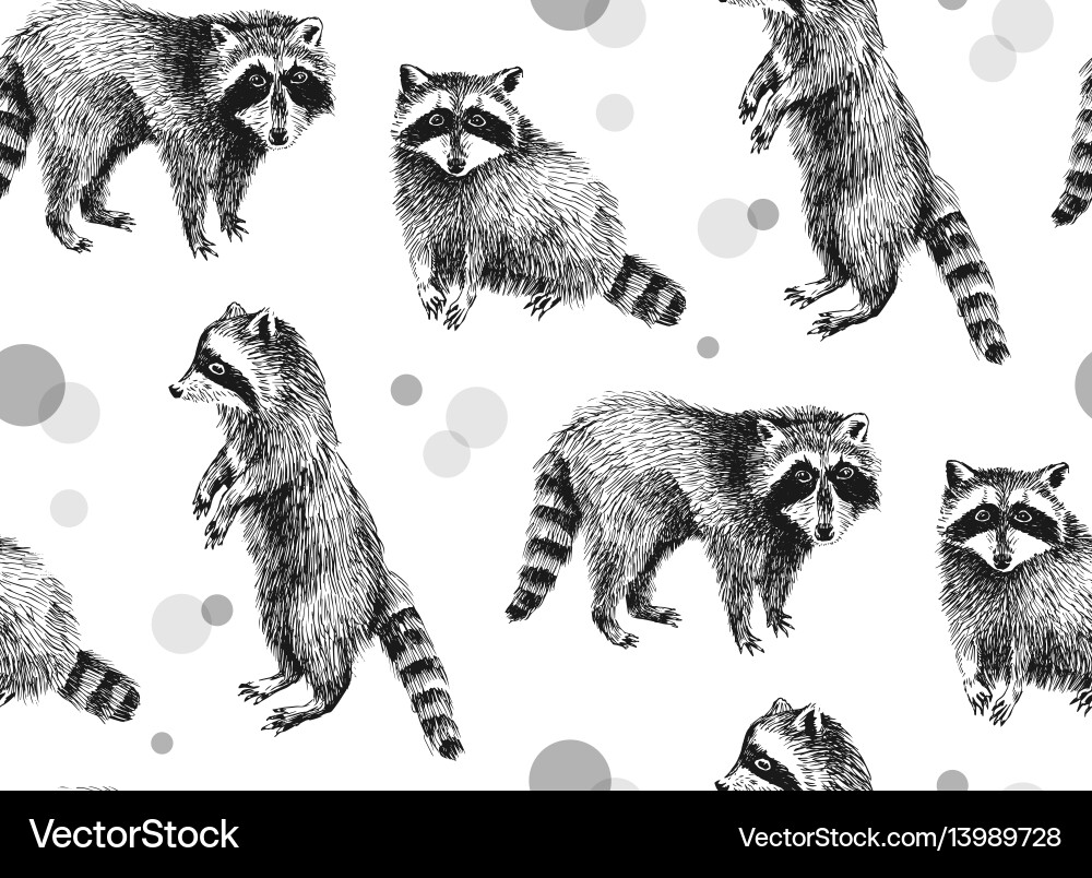 Hand drawn seamless pattern with raccoons Vector Image