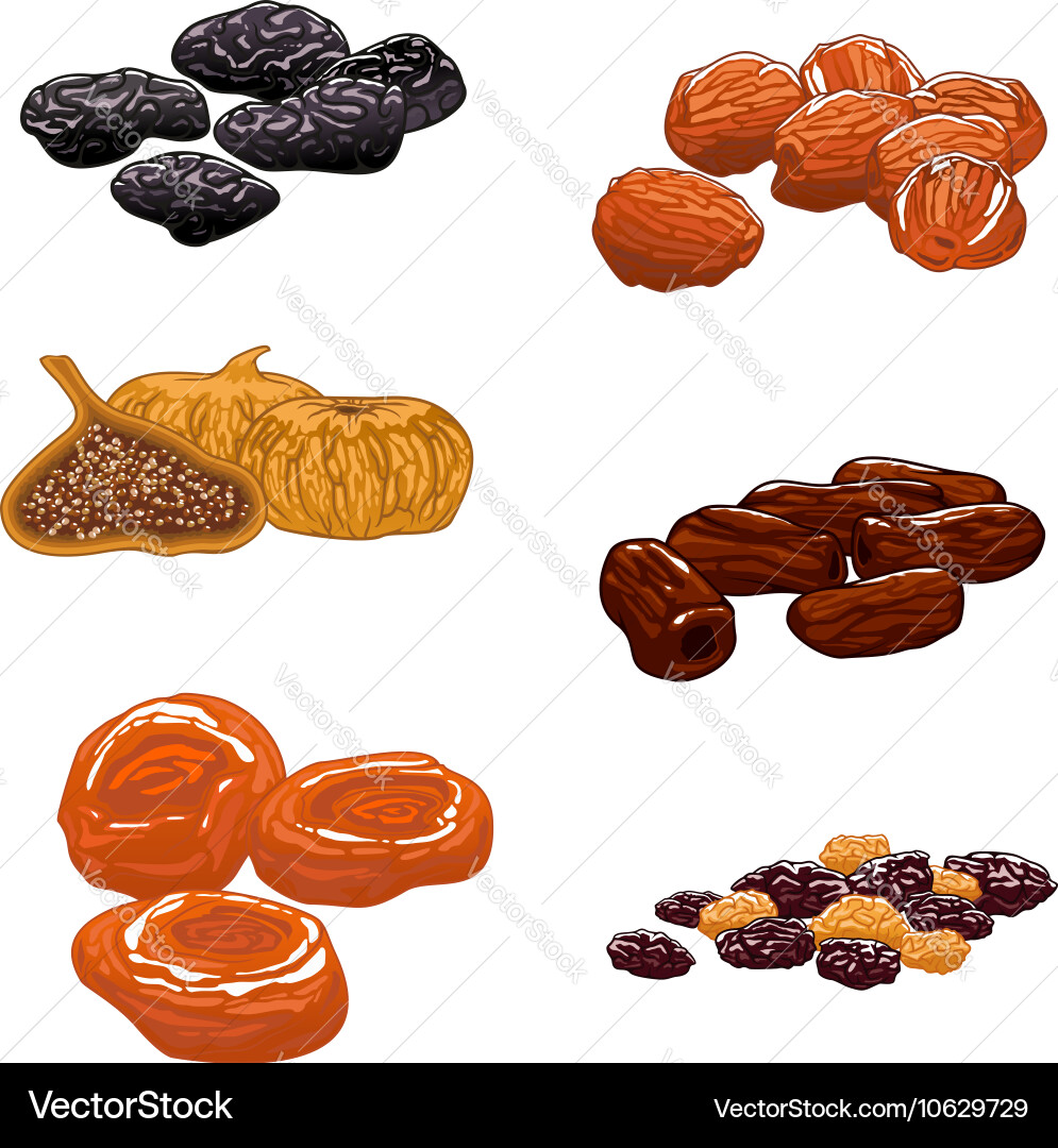 Dried Fruit Icons - Raisins, Dates, Figs Vector Image