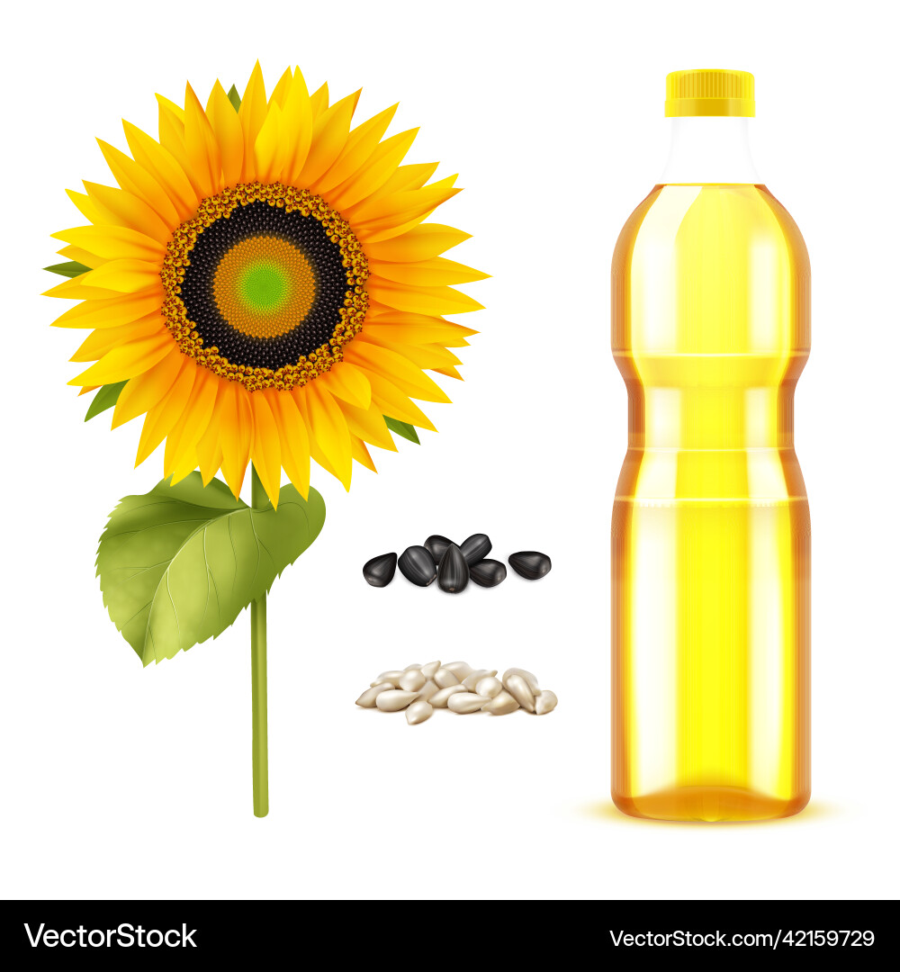 Sunflower oil realistic set Royalty Free Vector Image