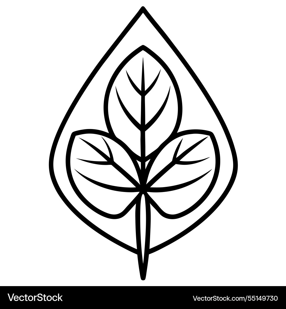 A clean simple line drawing of leaf Royalty Free Vector