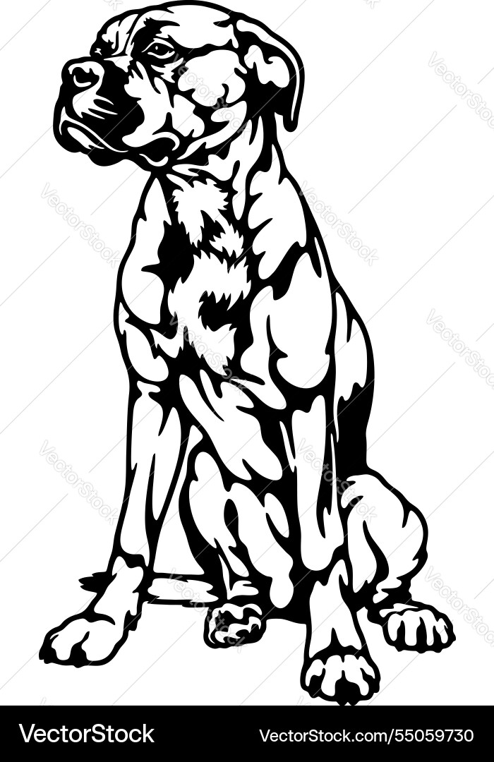 Boxer dog breed - pet cut file Royalty Free Vector Image