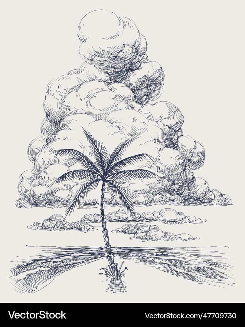 Palm tree on the beach sea view hand drawing Vector Image