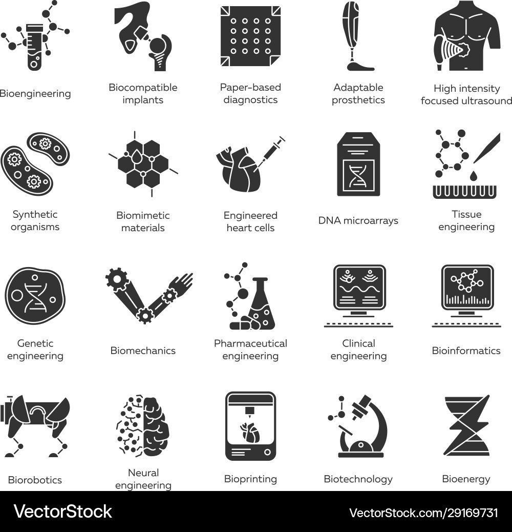 Bioengineering glyph icons set biotechnology new Vector Image