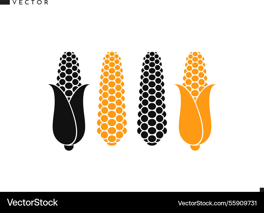 Ear of corn Royalty Free Vector Image - VectorStock
