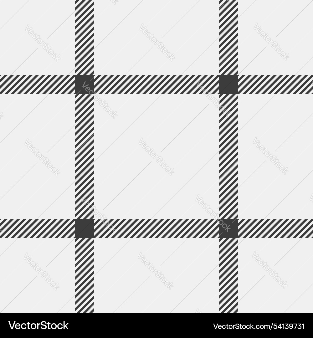 Ethnic check tartan fabric silk pattern seamless Vector Image