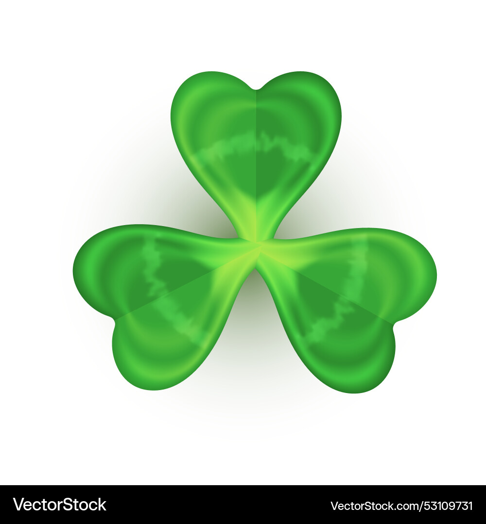 Realistic shamrock icon clover three leaves logo Vector Image