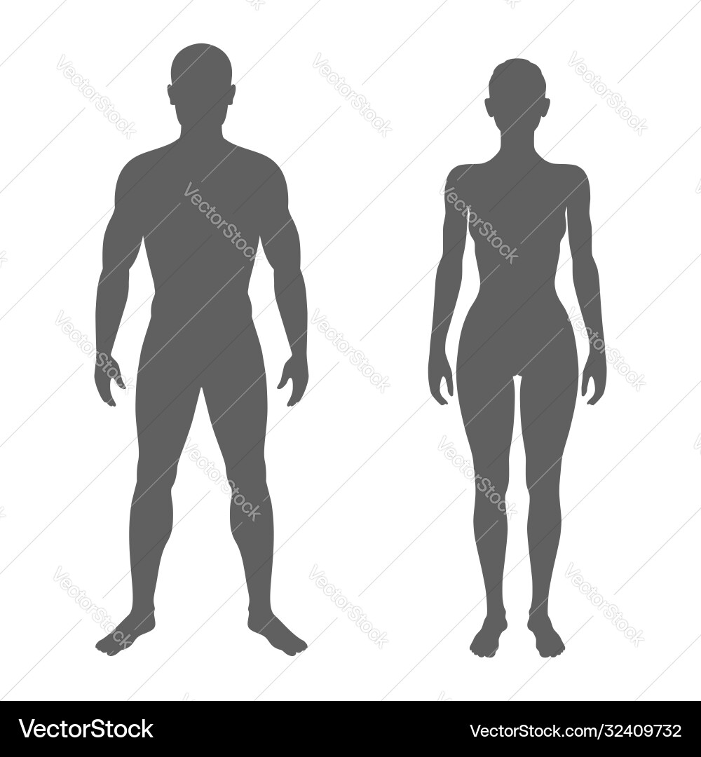 Man and woman Royalty Free Vector Image - VectorStock