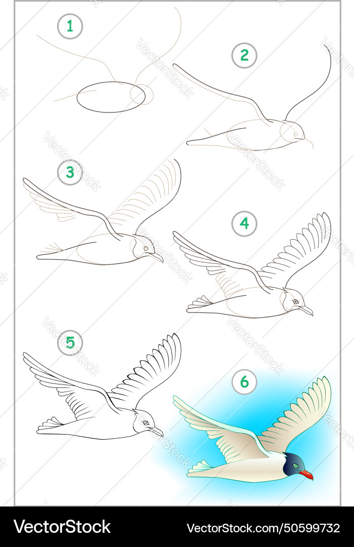 Page shows how to learn step by draw Royalty Free Vector