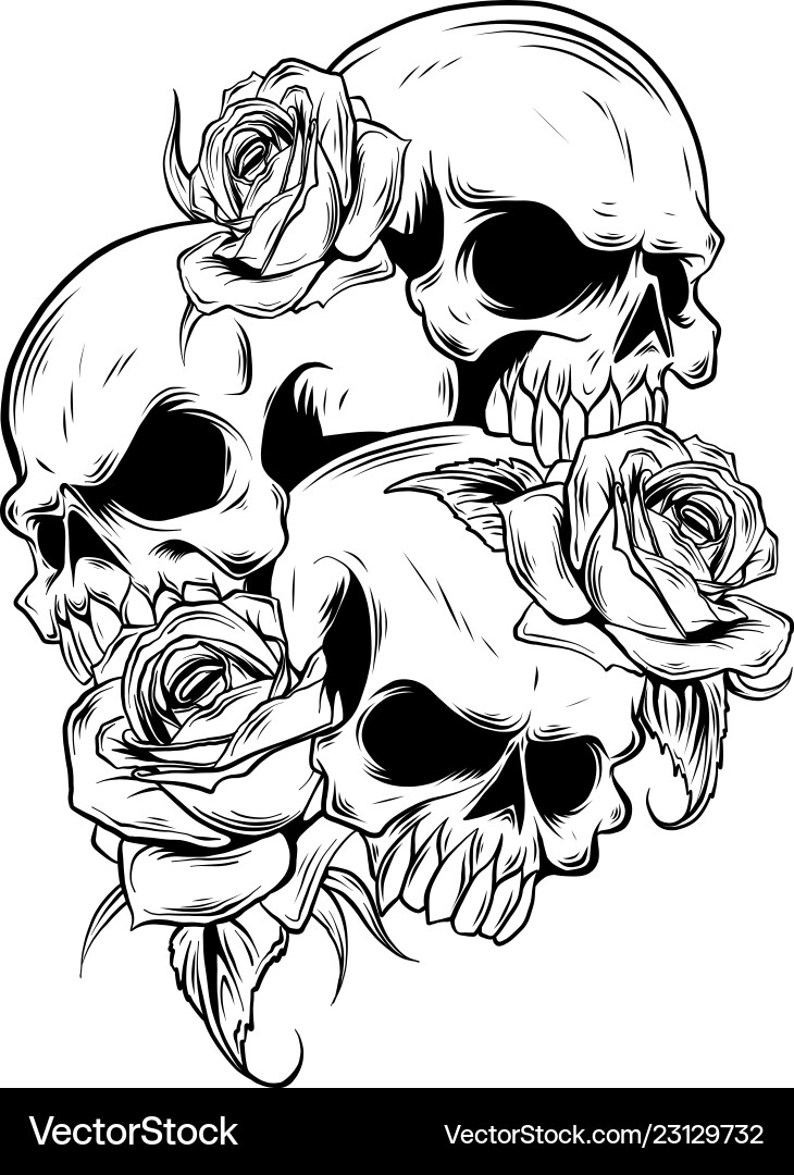Roses and skulls on white Royalty Free Vector Image