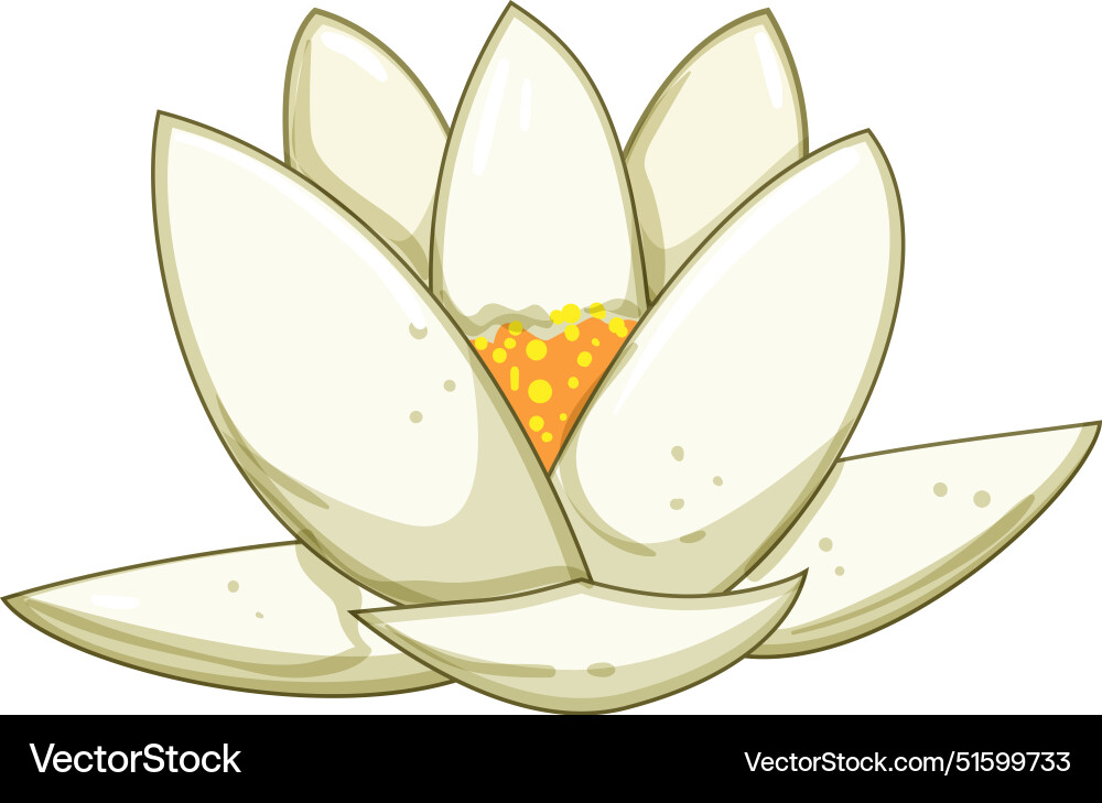 Abstract lotus flower cartoon Royalty Free Vector Image
