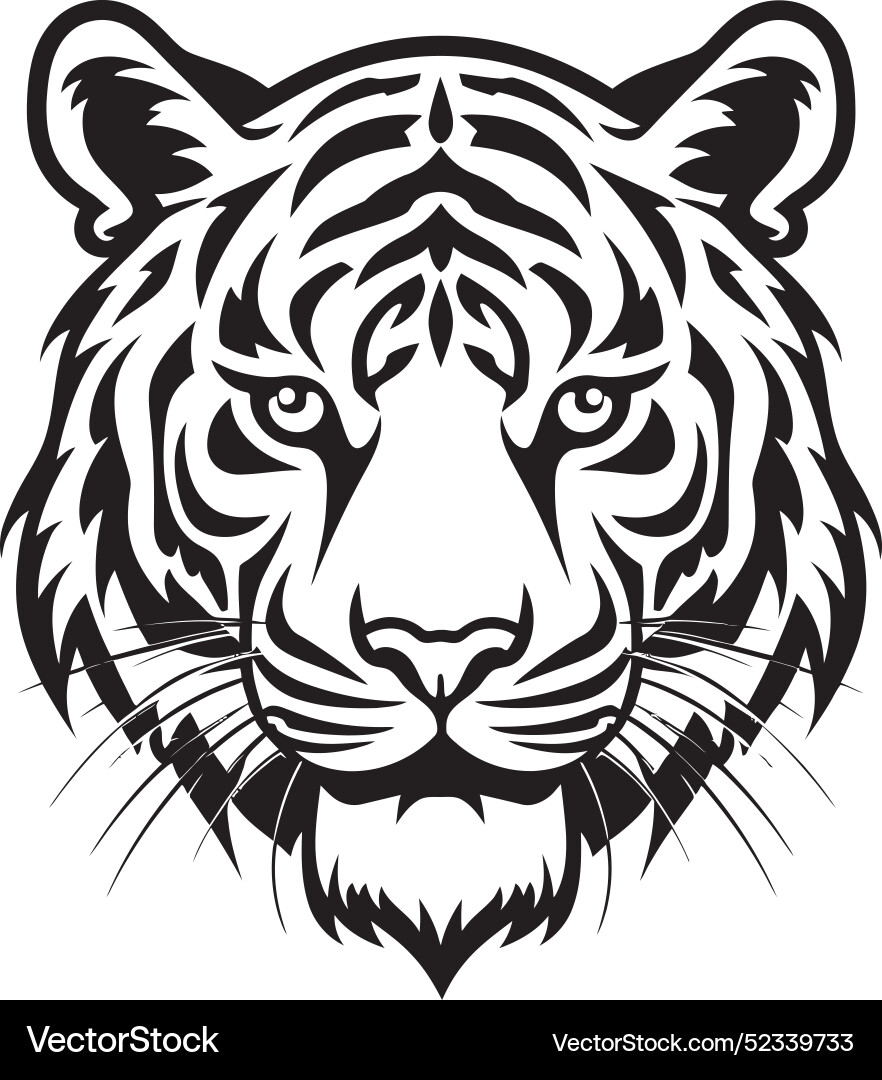 Expressive tiger captivating monochrome Royalty Free Vector