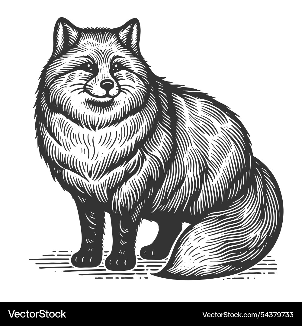 Fluffy fat fox engraving Royalty Free Vector Image