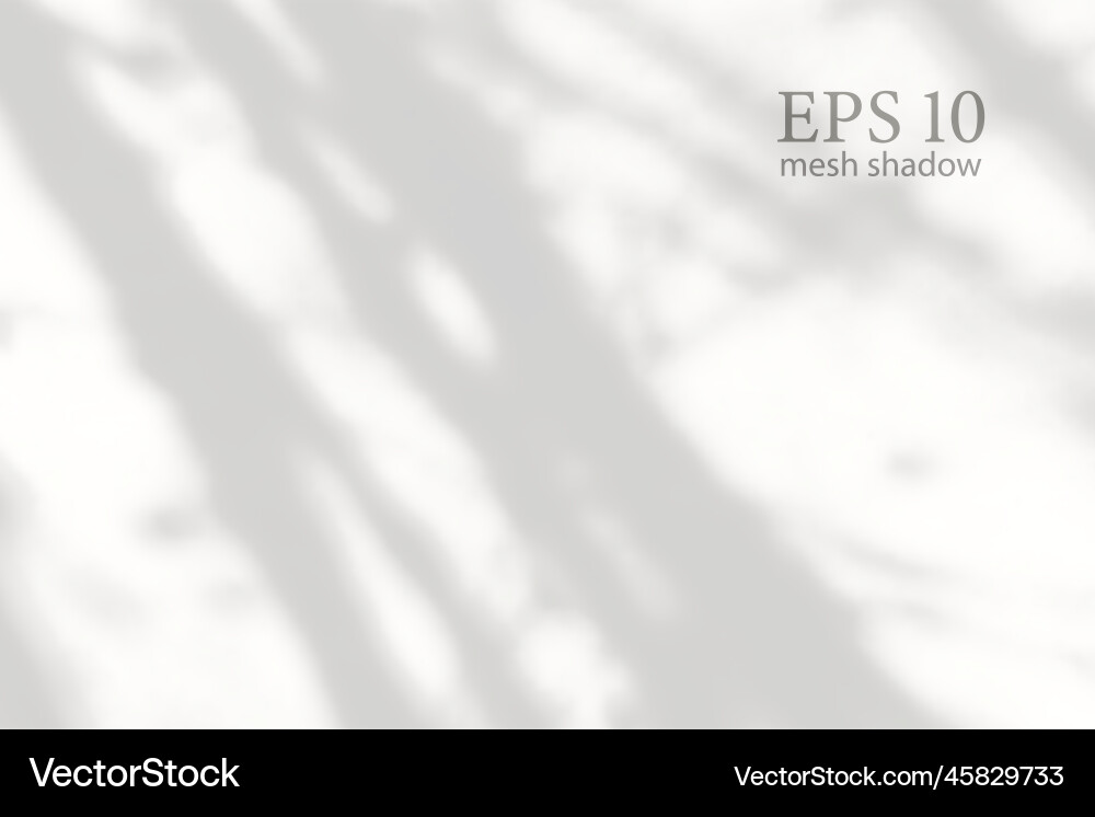 Transparent natural plant shadow light effect Vector Image