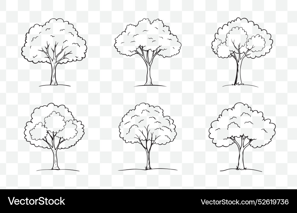Print detailed ash tree line art set Royalty Free Vector