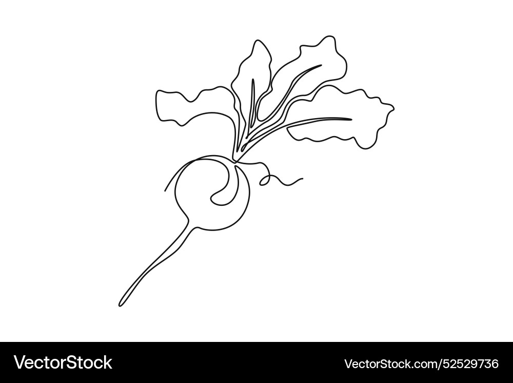 Single one line drawing whole healthy organic raw Vector Image