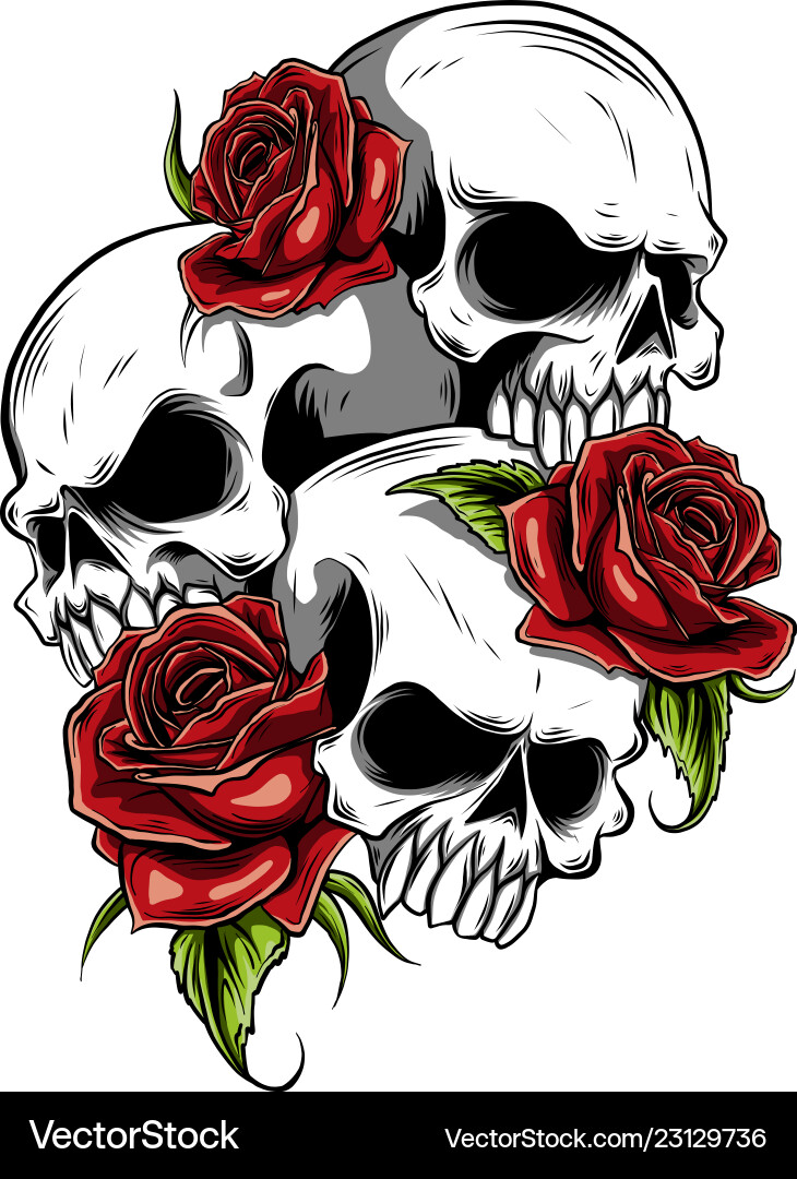 Drawings Of Roses And Skulls
