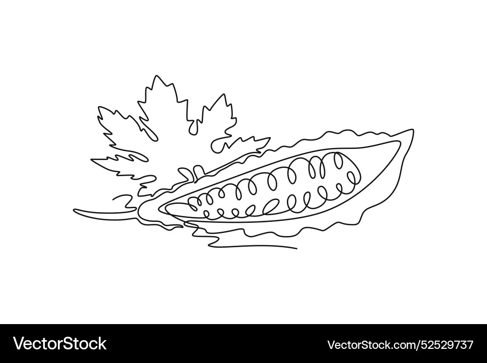 Continuous one line drawing of half sliced Vector Image