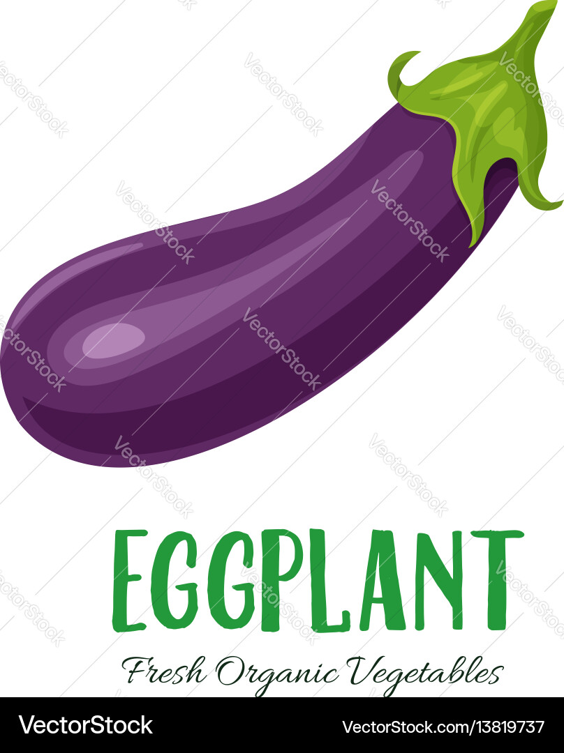 Eggplant vegetable Royalty Free Vector Image - VectorStock