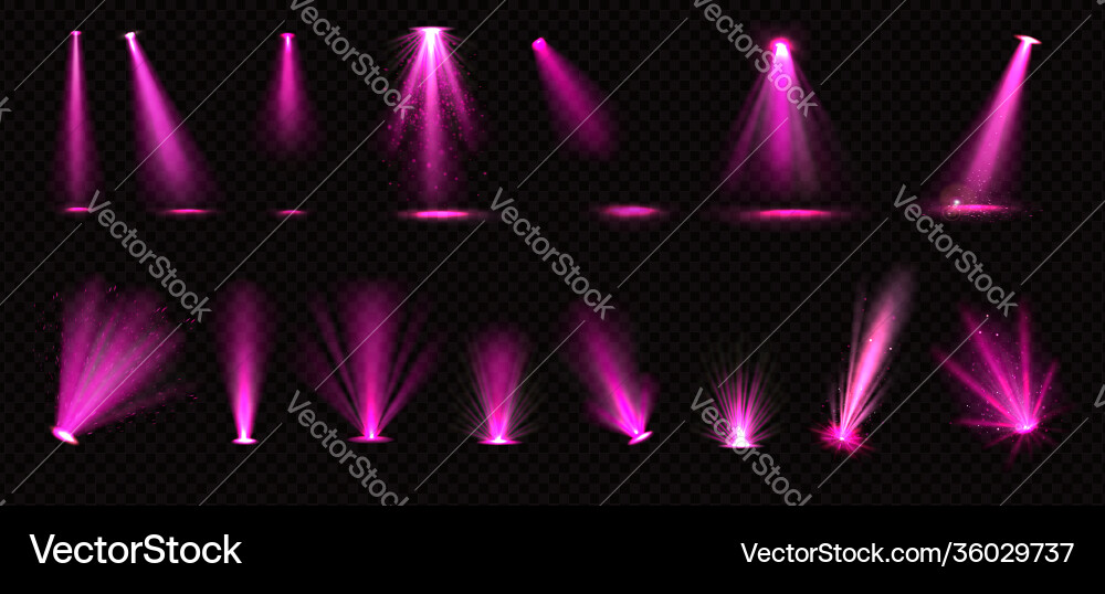Pink spotlights beams and floor projectors Vector Image