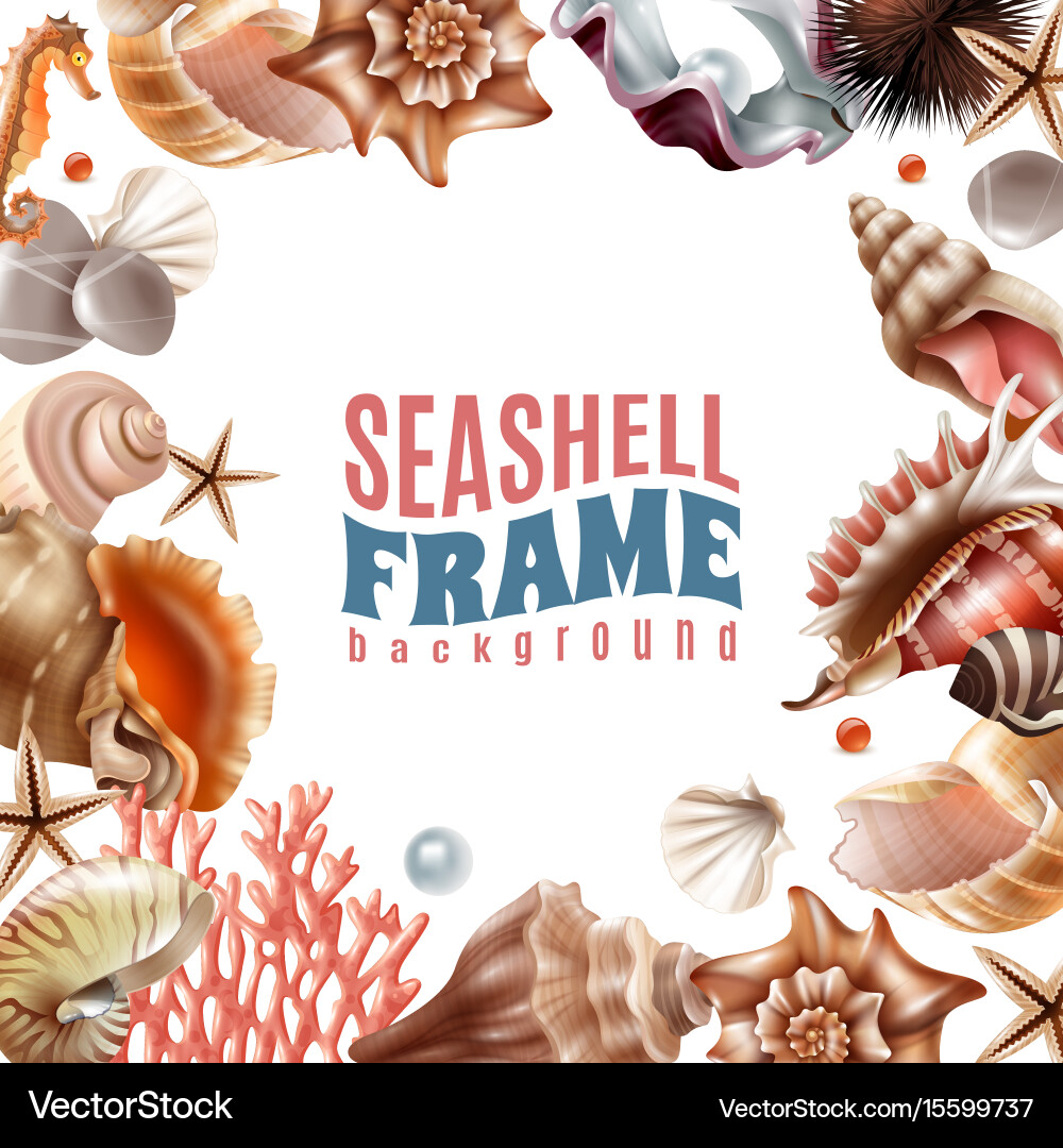 Seashell realistic frame Royalty Free Vector Image