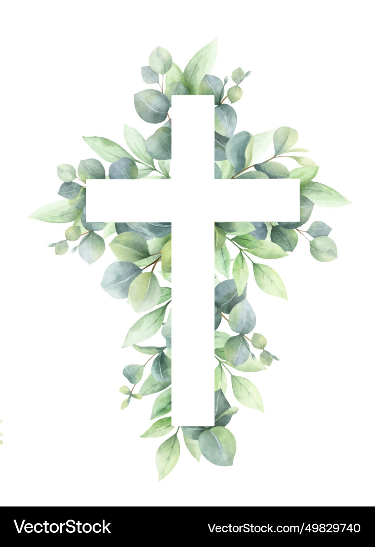 Green Eucalyptus Cross with Leaves Royalty Free Vector Image