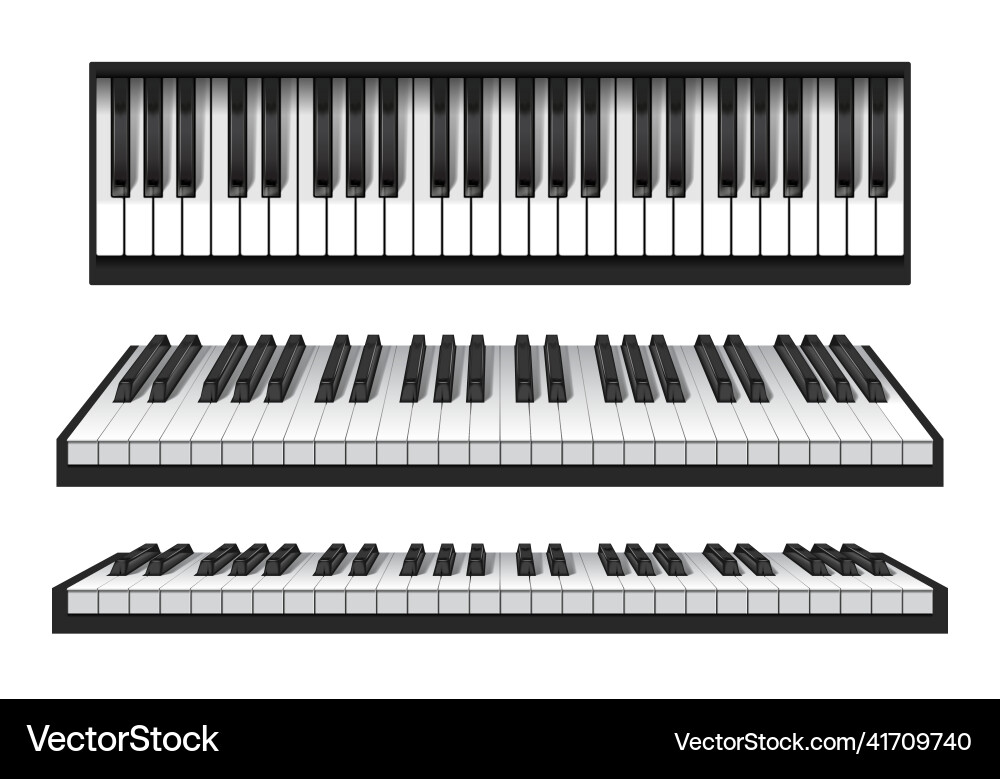 Realistic piano keys set Royalty Free Vector Image