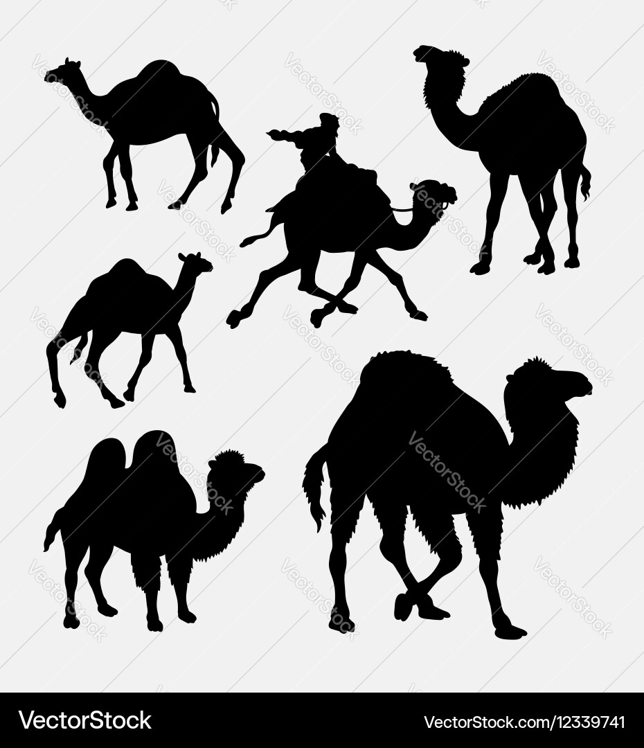 Camel and dromedaries animal silhouette Royalty Free Vector