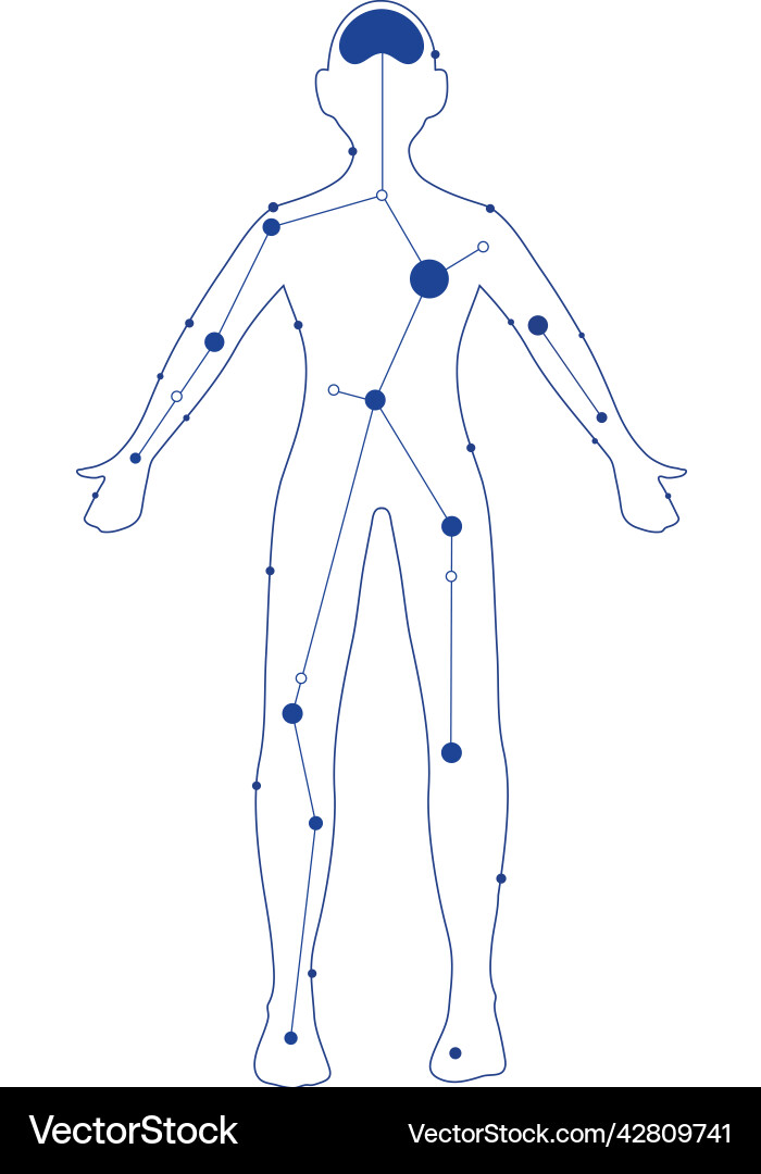 Human Anatomy Medical Icon Royalty Free Vector Image