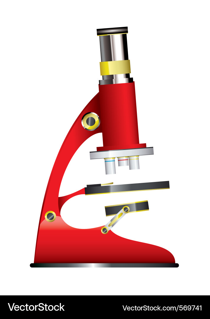 Red School Microscope Royalty Free Vector Image
