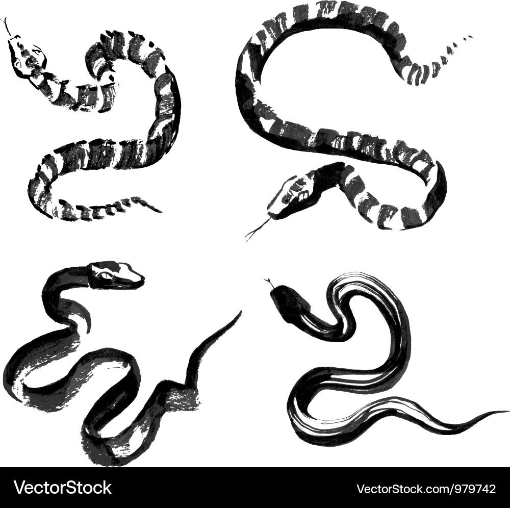 Chinese Ink Snake Art Royalty Free Vector Image