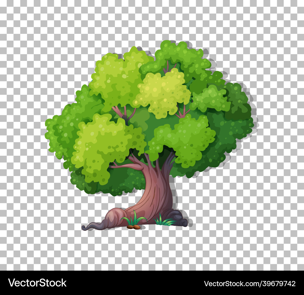 Tree on transparent background Royalty Free Vector Image