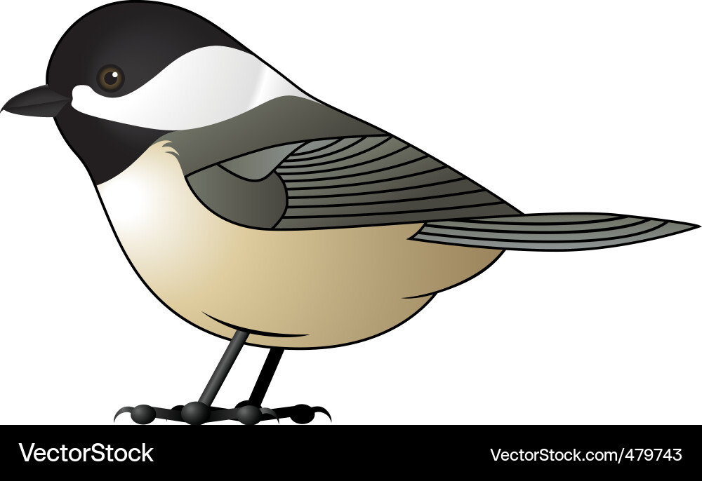 Chickadee Royalty Free Vector Image - VectorStock