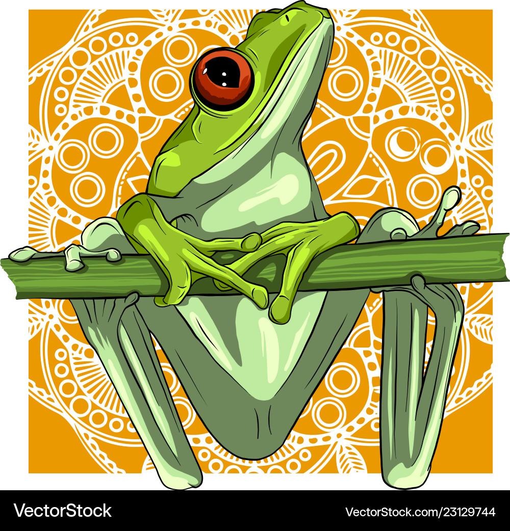 Green Tree Frog Drawings