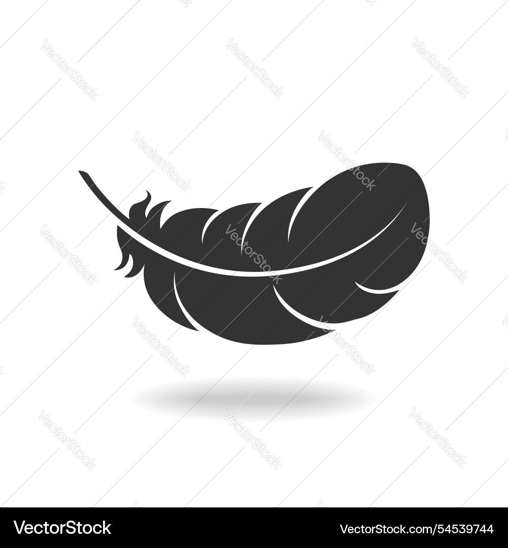Bird feather Royalty Free Vector Image - VectorStock