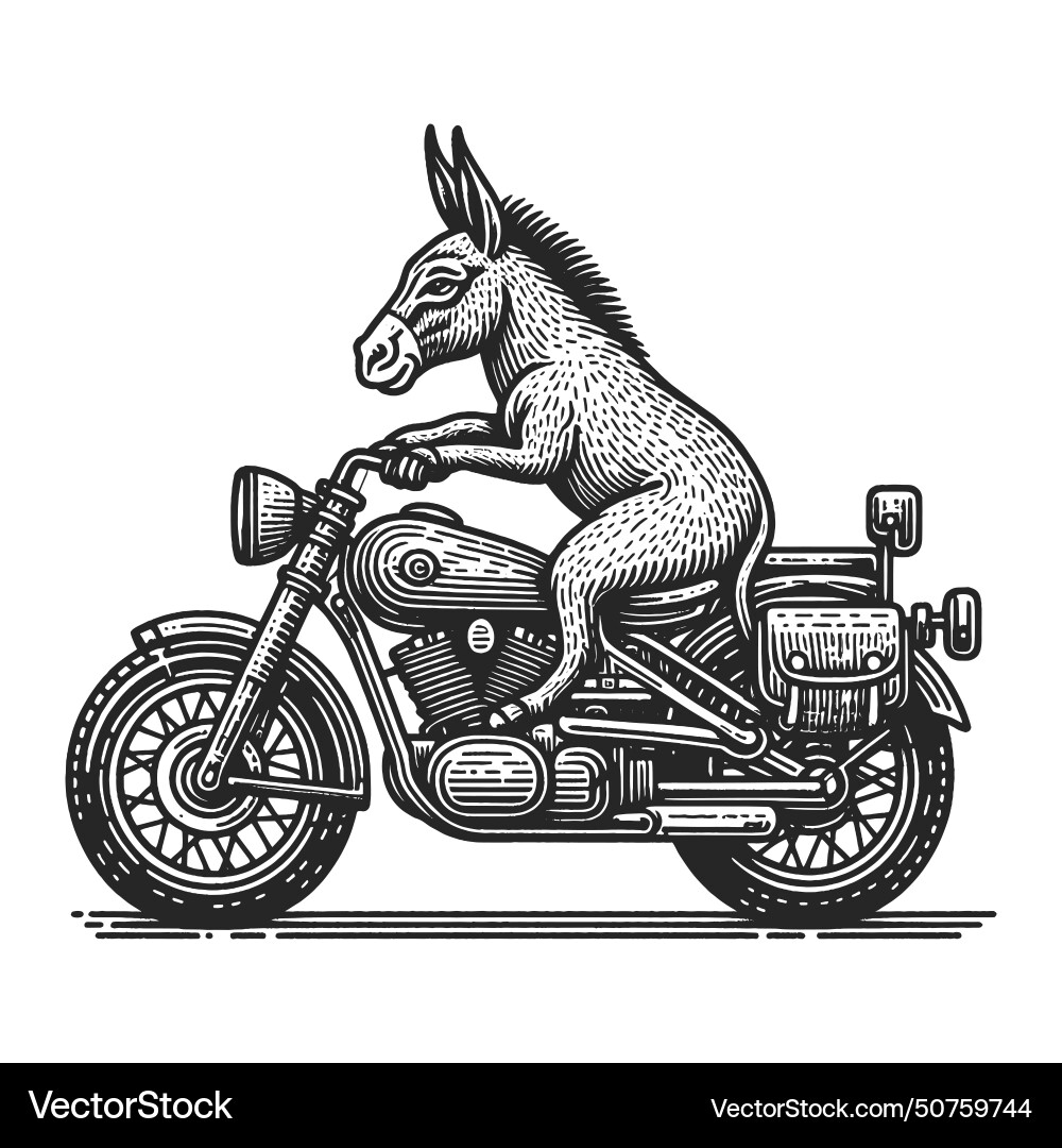 Donkey riding motorcycle sketch Royalty Free Vector Image