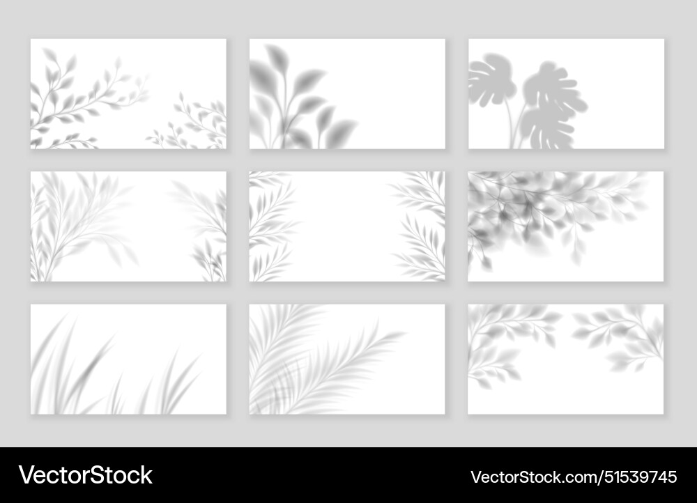 Realistic floral shadows botanical gobo light Vector Image