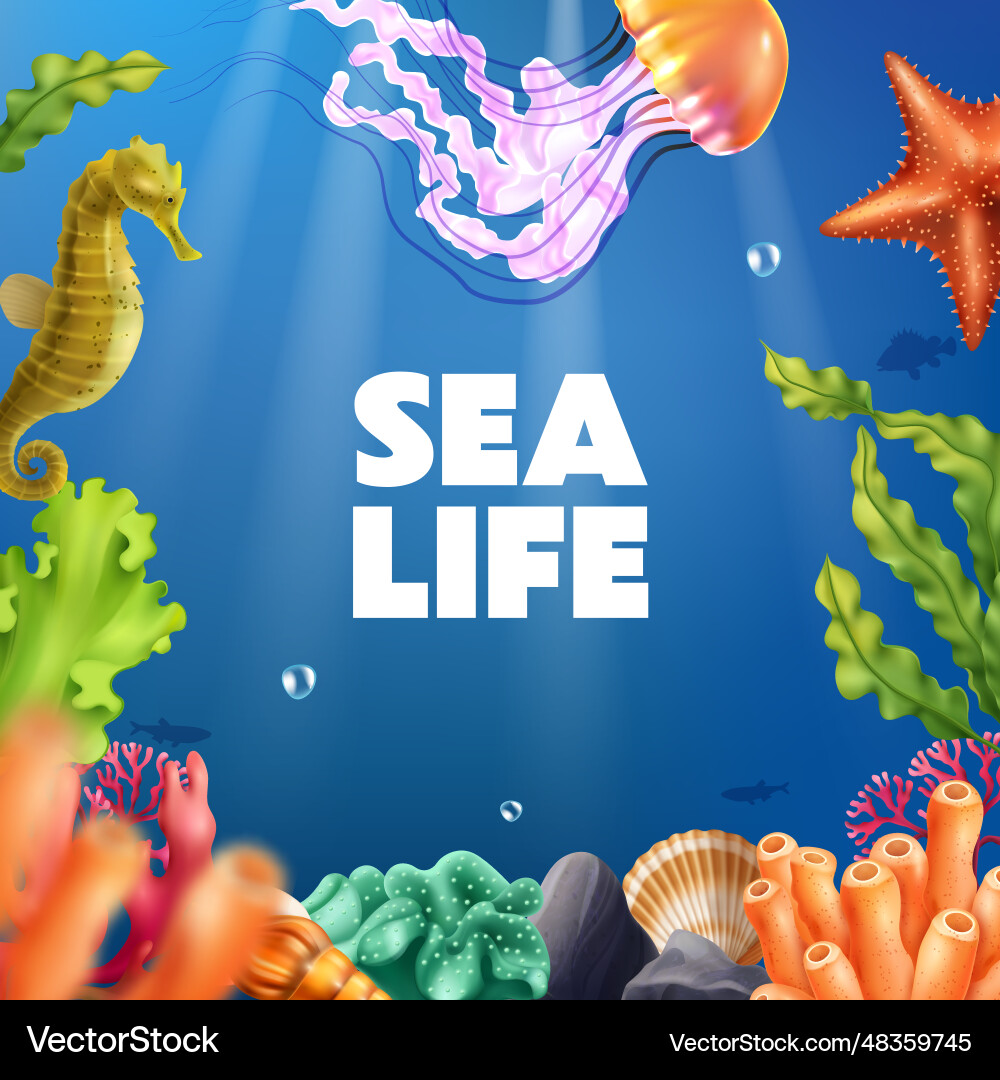 Sea life realistic background Royalty Free Vector Image