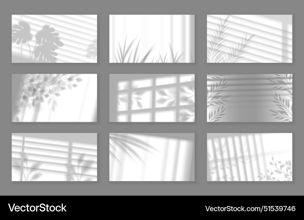 Realistic floral wall shadow botanical gobo Vector Image