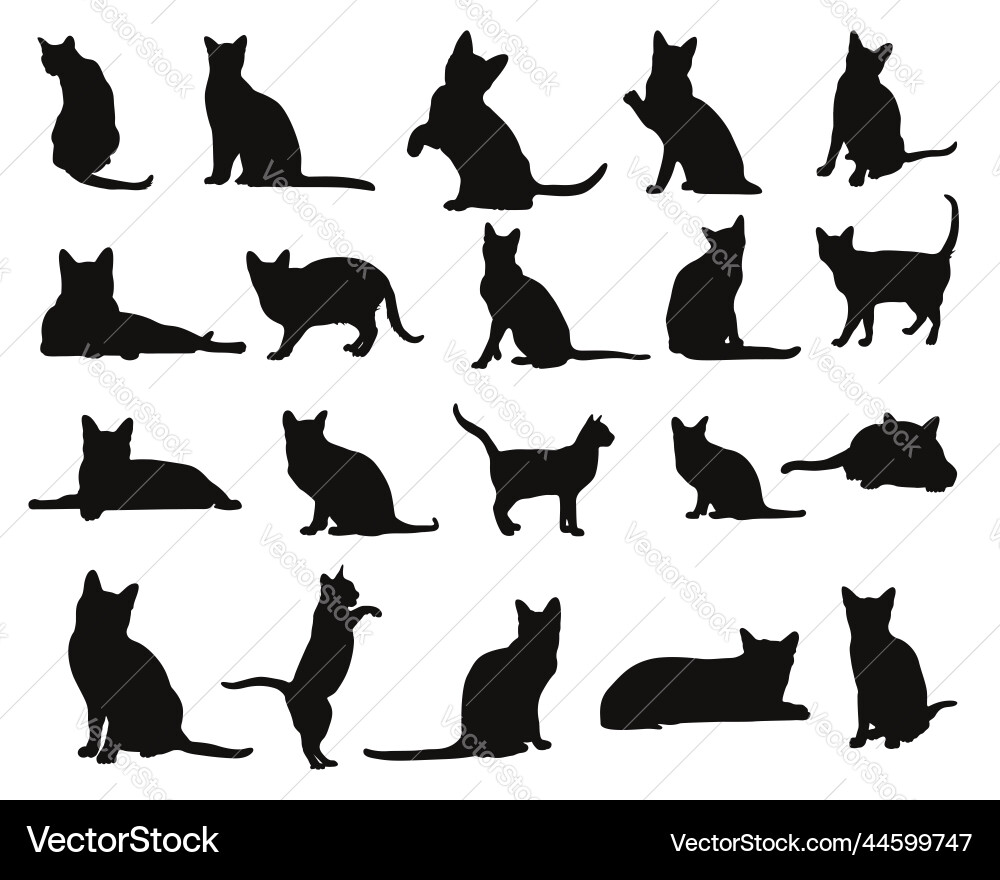 Korat Vector Images (65)