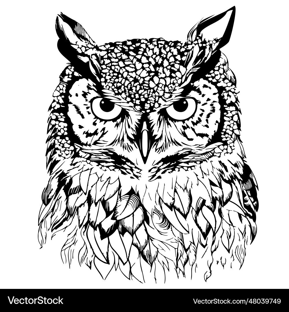Detailed Owl Head Sketch Royalty Free Vector Image
