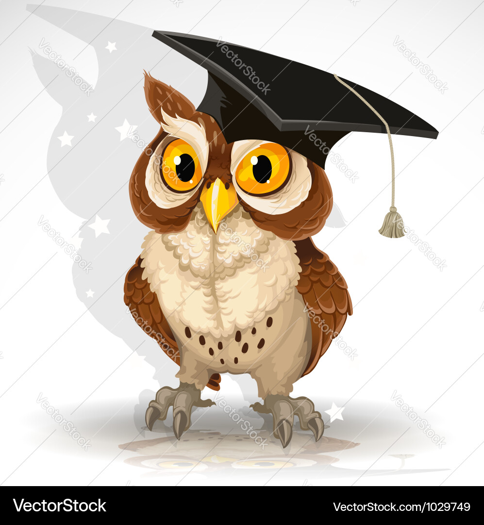 Graduation Owl Royalty Free Vector Image - VectorStock