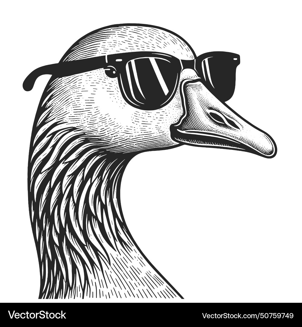 Stylish Goose with Sunglasses Royalty Free Vector Image