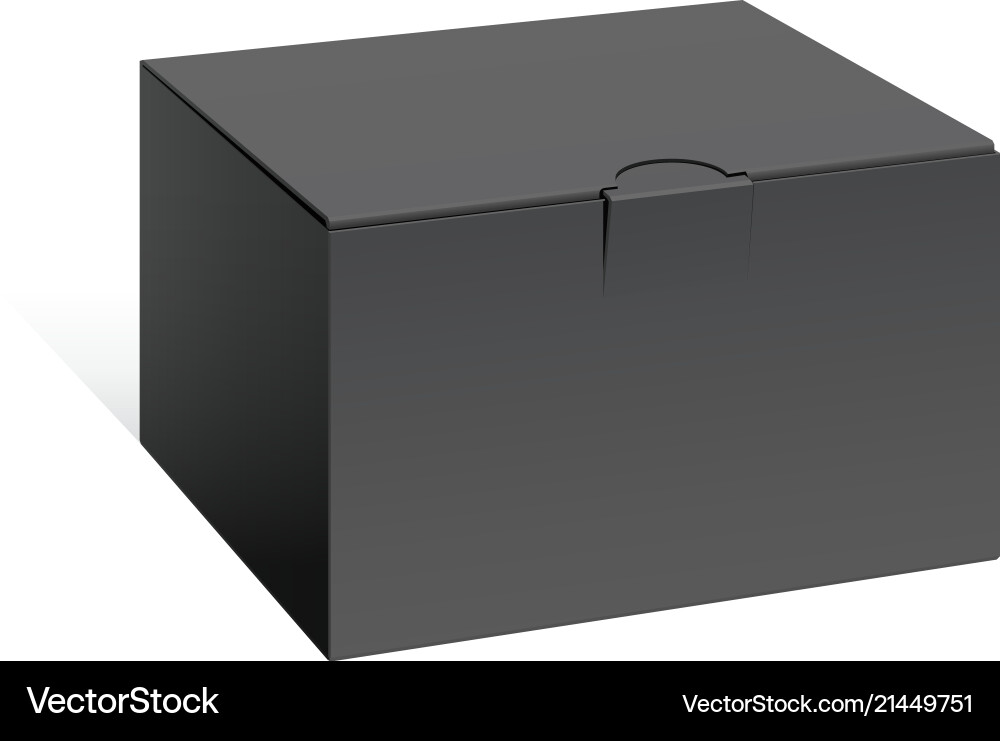 Realistic black package box Royalty Free Vector Image
