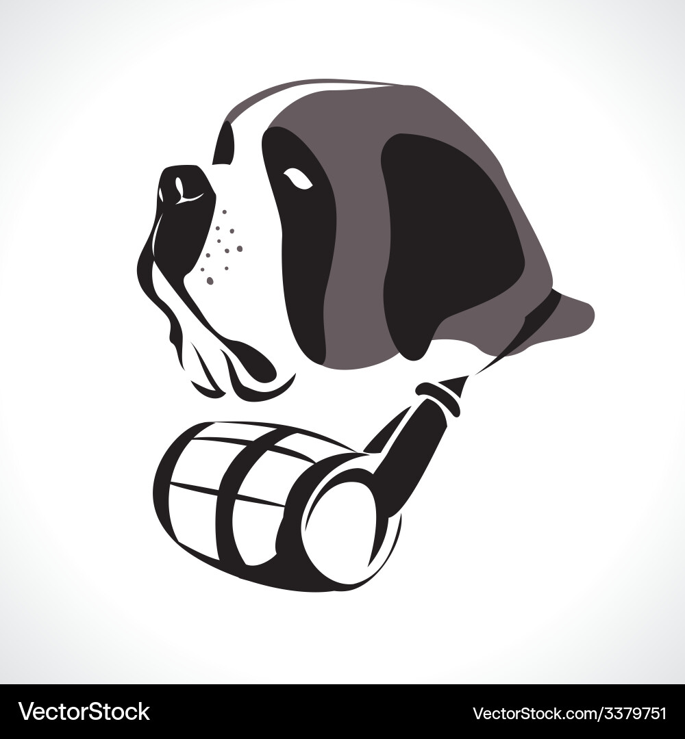 St. Bernard Dog Portrait Royalty Free Vector Image