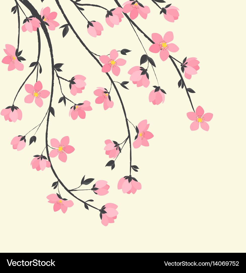 Branches with flowers Royalty Free Vector Image