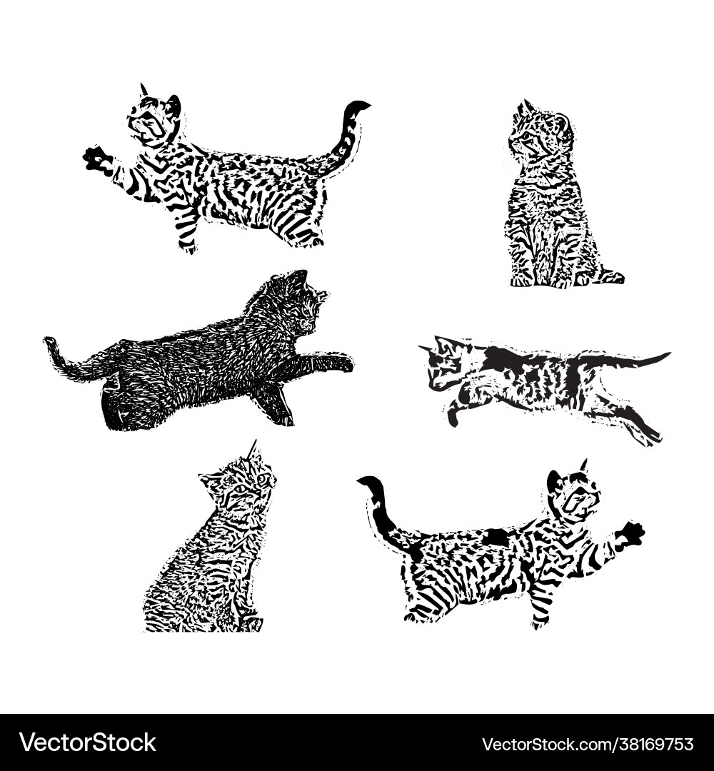 Cat bundle Royalty Free Vector Image - VectorStock