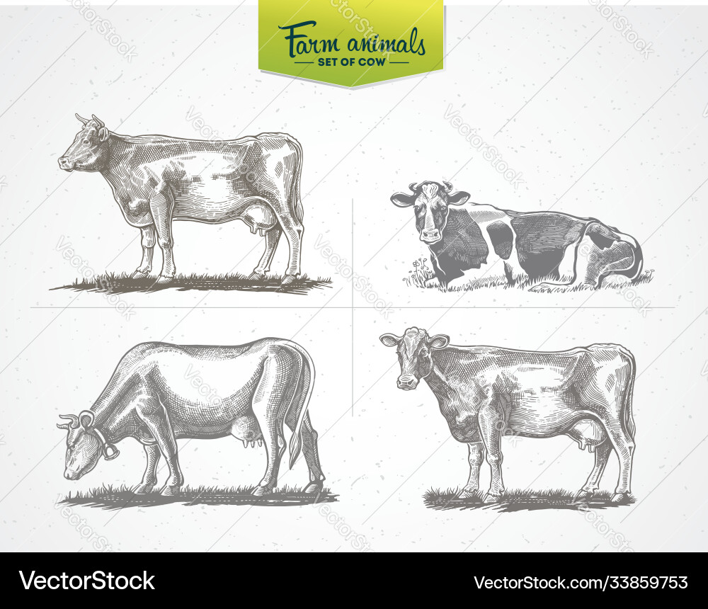 Cows in graphic style a set four images Royalty Free Vector