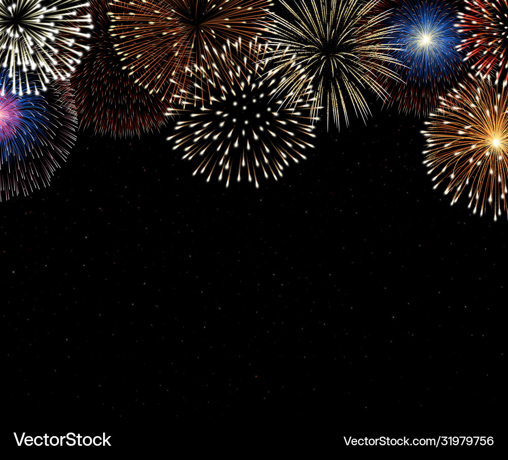 Colorful fireworks on night sky background Vector Image