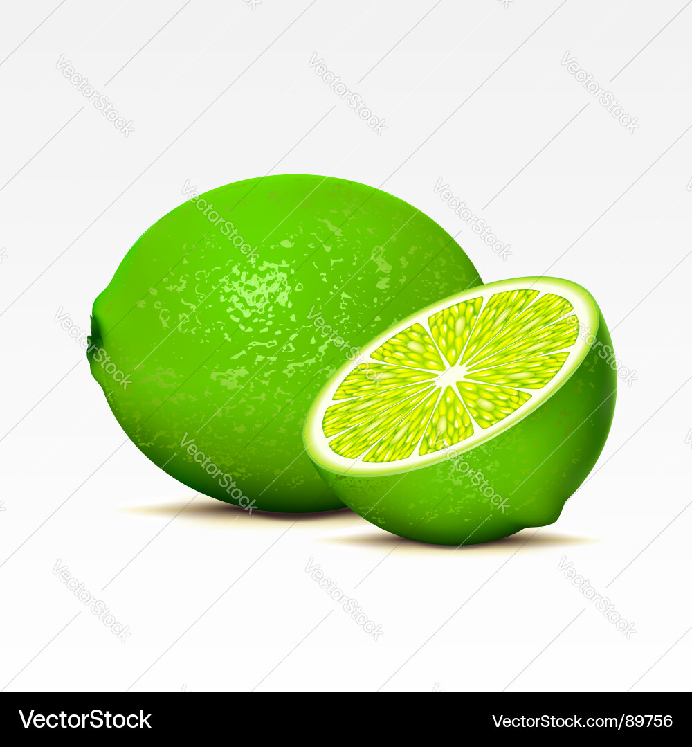 Limes Royalty Free Vector Image - VectorStock